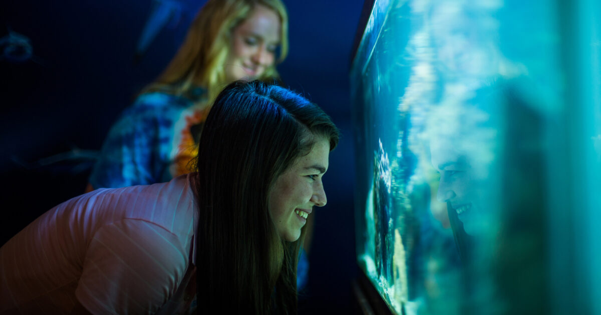 CF Henderson County | Perry N. Rudnick Grants